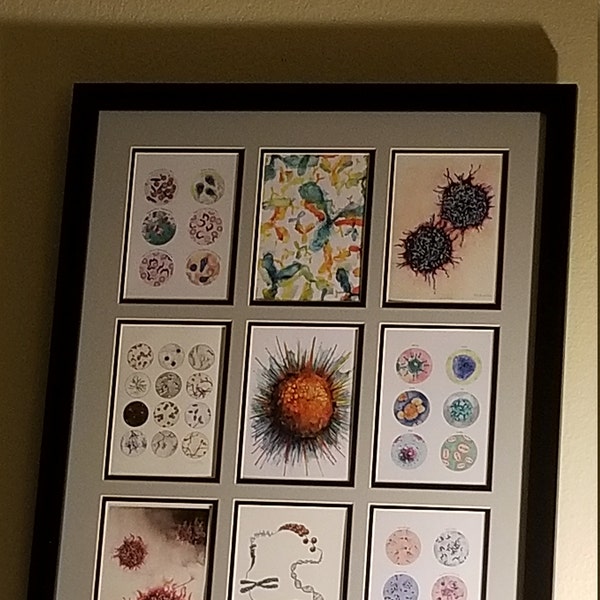 Parasitic Disease Collection, Science Art Poster, Microbiology Print ...