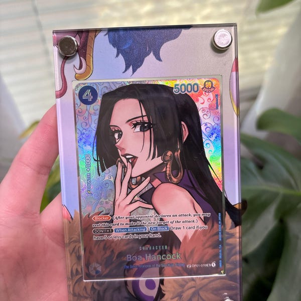 Silvers Rayleigh Manga Custom One Piece Display Case - Etsy