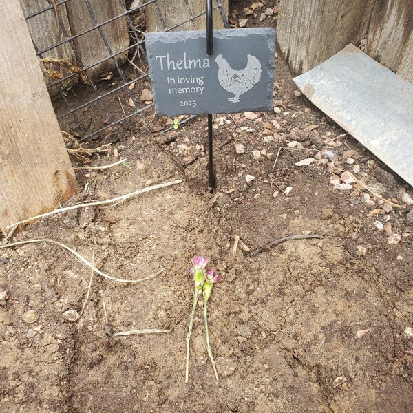Pet Chicken Hen Memorial Garden Sign With Hanging Stake - Honor Your ...