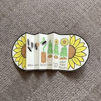 Foldable Duck Life Cycle Learning Activity for Kids | A4 and 11x8.5 ...