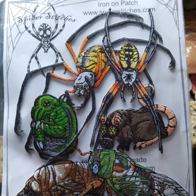 Golden Writing Orb Weaver Spider Argiope Aurantia Gothic Yellow Garden ...