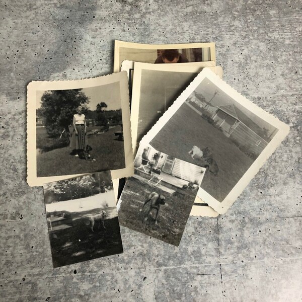 Lot of Ten Random Antique/vintage Photos - Etsy