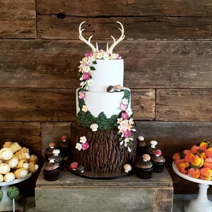 Lion King Sugar Cookies/ Simba Cookies/ Scar Cookies/ Lion - Etsy