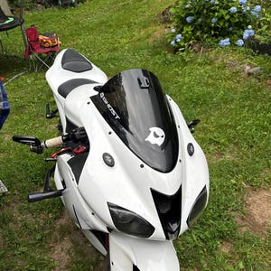 Reflective White Saleen Mustang on Black 100% Carbon Fiber License ...