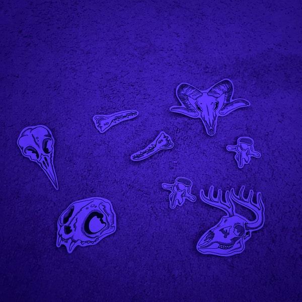 Bone Collection Stickies || Sticker Pack || Original, Black or Pastel ...