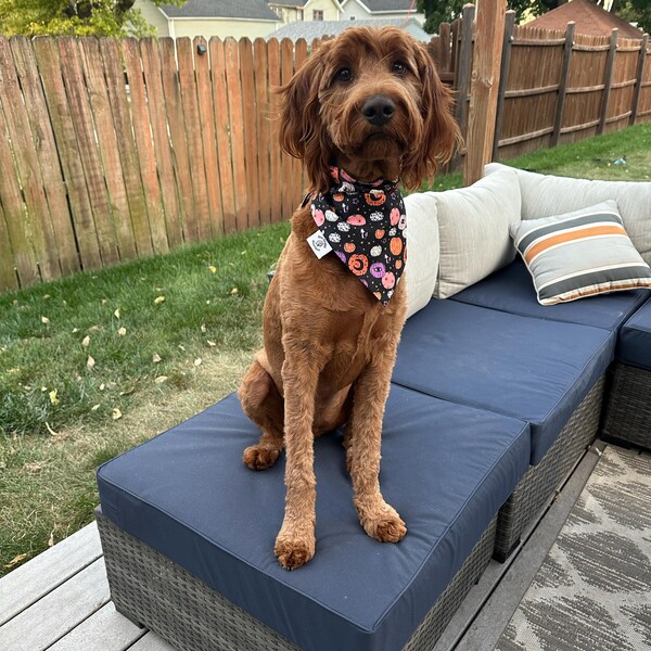 Dog Bandana Holder, Pet Bandana Organizer, Dog Clothing Organizer, Dog ...