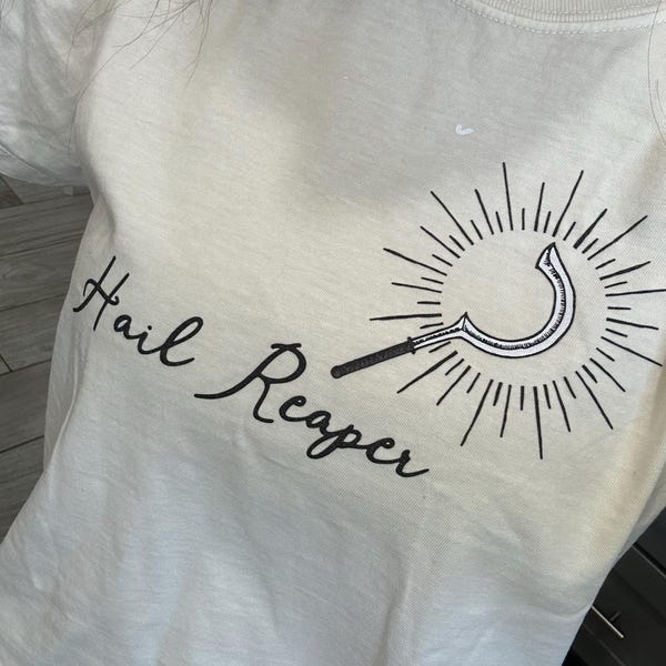 Dungeon Crawler Carl Merch, Rage Elemental, Comfort Colors, Unisex ...