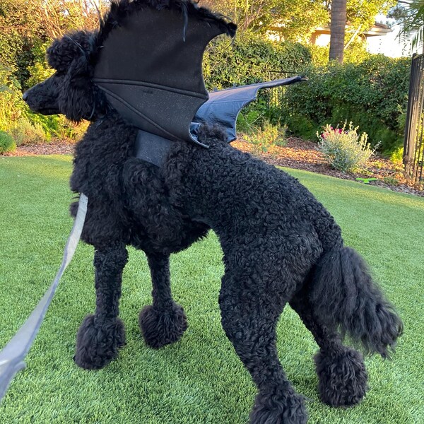 Red Gargulia Wings Black Tips With Cuts - Etsy