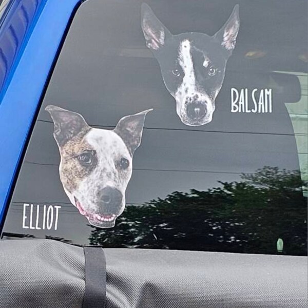 Custom Pet Sticker, Die-cut Dog Decals for Car, Cat Laptop Stickers ...