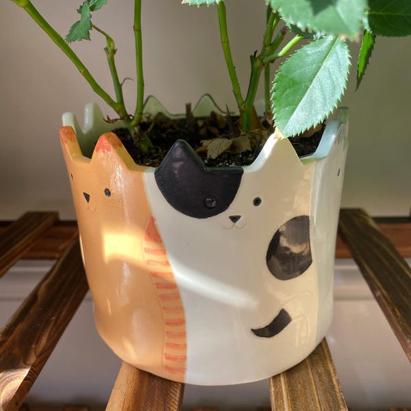 Blue Ringed Octopus Planter, Octopus Pot, Unique Planter Pot, Sea ...