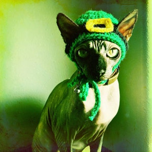 Rasta Hat for Cats | Etsy
