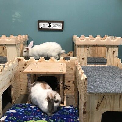 Rabbit Castle Tower Ramp Sold Separately - Etsy