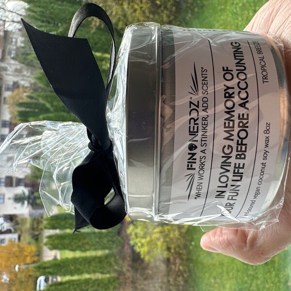 Funny Accountant Fathers Day Gift, CFO Gift, Auditor, Hilarious CPA ...