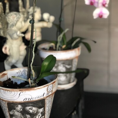 PATISSERIE FRENCH WOOD Kitchen Sign Confiseries Pastry Sign Chefs Sign ...