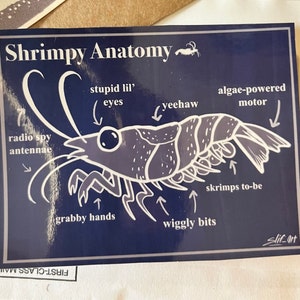 Splatoon 3 Dedf1sh Side Order Vinyl Sticker - Etsy