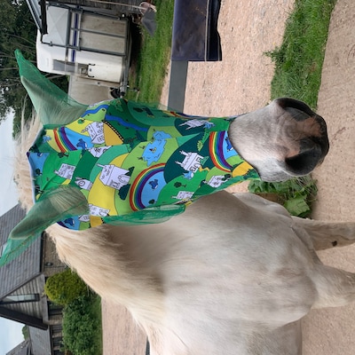 Fly Mask for Horses, Sewing Pattern, Pdf Digital Pattern, Printable ...