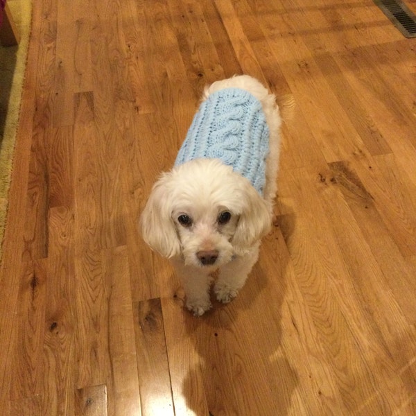 Small Dog Sweater Hand Knitted Soft, Cute and Warm Clothes Free ...