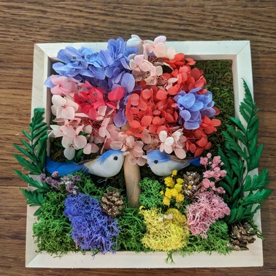 Real Dried Mix Moss Craft Making Moss for Crafts Fairy Garden Moss ...