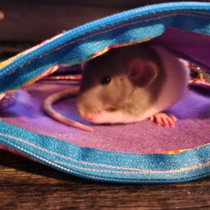 Lux Bonding Pouch for Rats, Small Animal Bonding Pouch, Sugar Glider ...