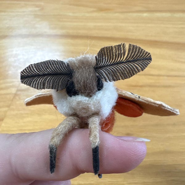 Luna Moth, True to Size, Needle Felted, Posable, Suede,moth Figurine ...