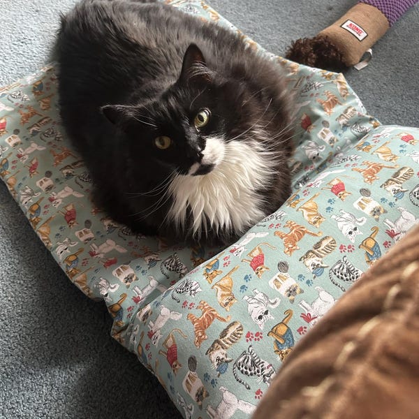 Rectangle Cat Window Perch Cover, Cat Window Hammock Mat, Replacement ...