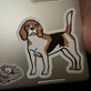 Veterinary Receptionist Sticker Pack, Vet Stickers, Vet Med Stickers ...