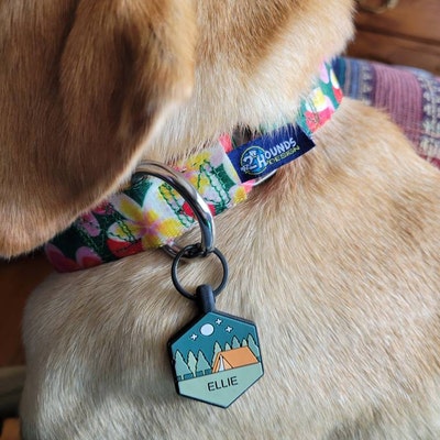 Ranger Class D20 Sticker Rpg Sticker Tabletop Gaming Sticker RPG ...