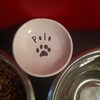 Pet Memorial - Pet Remembrance Dish | Paw Print Personalized Pet Dish ...