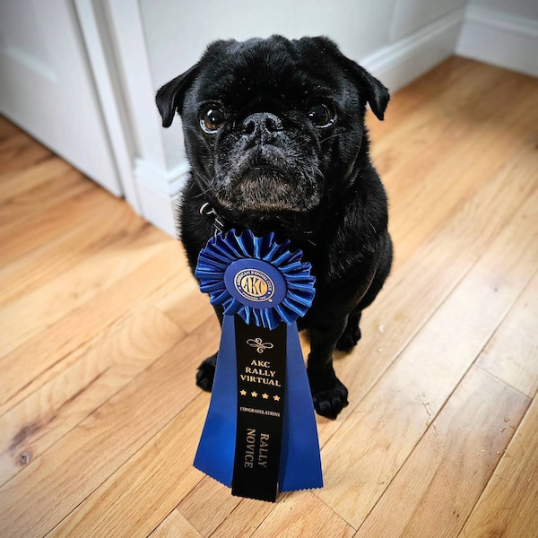AKC Virtual Rally Title Ribbon Rosette - Novice, Intermediate, Advanced ...