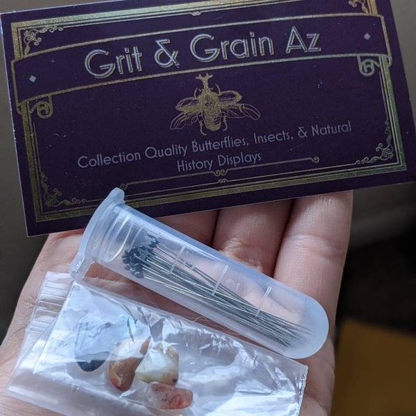 Insect Specimen Pins for Bug Pinning, Entomology Study, Insect ...