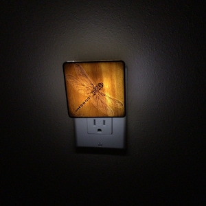 Dragonfly Night-light, Wall Art, Bug, Insect Lamp - Etsy