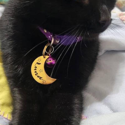 Custom Paw Dog Name Tag, Personalized Engraved Bling Pet ID Tags, Dog ...