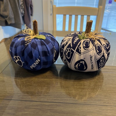 Uga,fabric College Pumpkin, Fall Decor, Autumn Decor, College Football ...