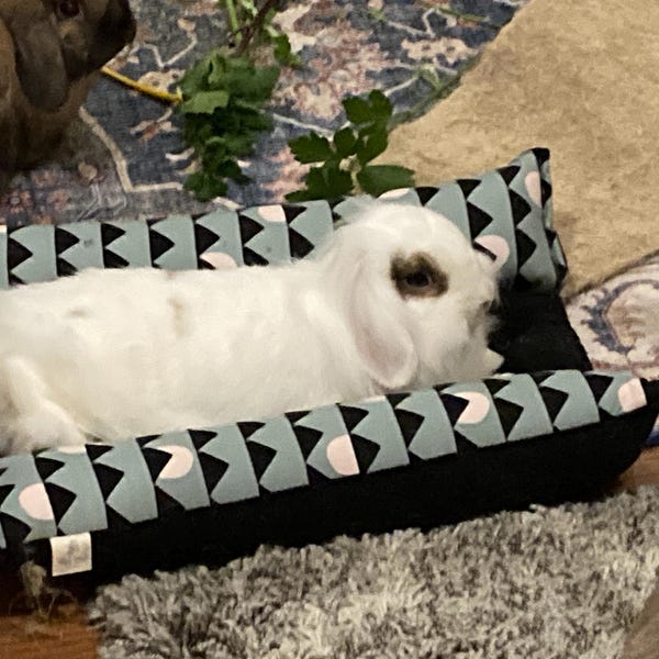 Discounted MYSTERY Classic Hop N' Flop® | Snuggle Burrow Flop Bed for ...