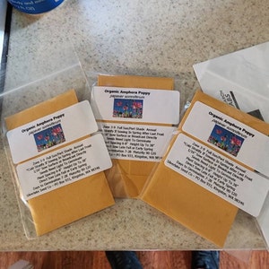 Gypsy Charmer Sunflower Seeds Tricolor 4-6' Branching - Etsy