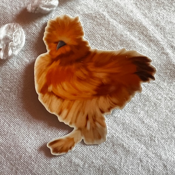 Jacksonville Jaguars Bracelets Duval Jax Jags Jewelry 904 Bracelet ...