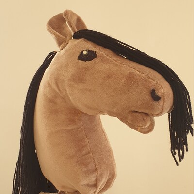 Hobby Horse Box, DIY Hobby Horse Kit, Make Your Own Hobby Horse, Horse ...