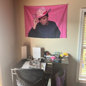 Danny Devito Trashman Tapestry, Hostel Dorm Decor, Funny Danny Devito ...