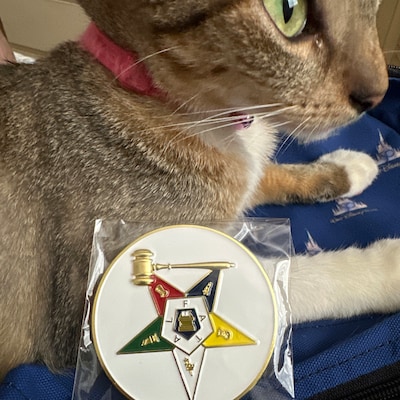 US & Masonic Flag Lapel Pin - Etsy