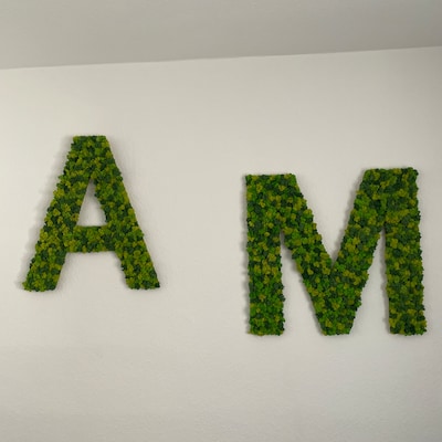 Moss Company Logo, Moss Wall Art, Real Moss Custom Logo Sign, Moss ...