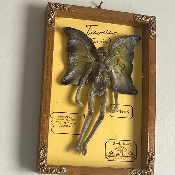 Dragon Ball Z Vegeta Shadow Box Display - Etsy