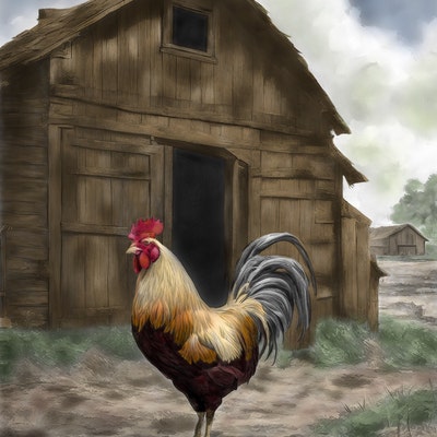 Grayscale Vintage Truck and Barn Scene, Adult Coloring Page, Printable ...