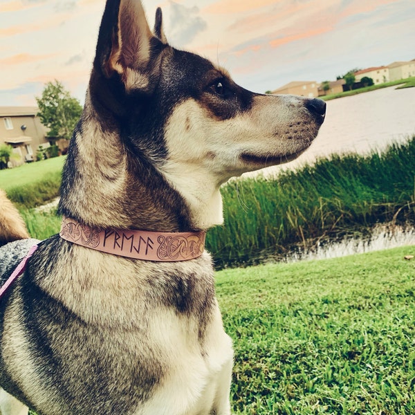 Leather Norse Celtic Dog Collar - Custom - Personalized - Handmade - Etsy