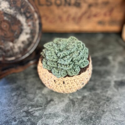 Crochet Spider Plant - Etsy