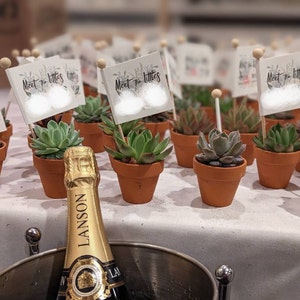 Succ-cess success You Did It Graduation Succulent Gift - Etsy