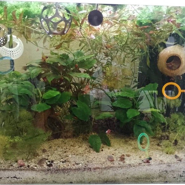 Betta Fish Cave Lounge Hammock, Aquarium Decor to Swim-through, Hide ...