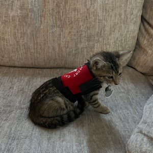 Emotional Support Cat Vest - Etsy