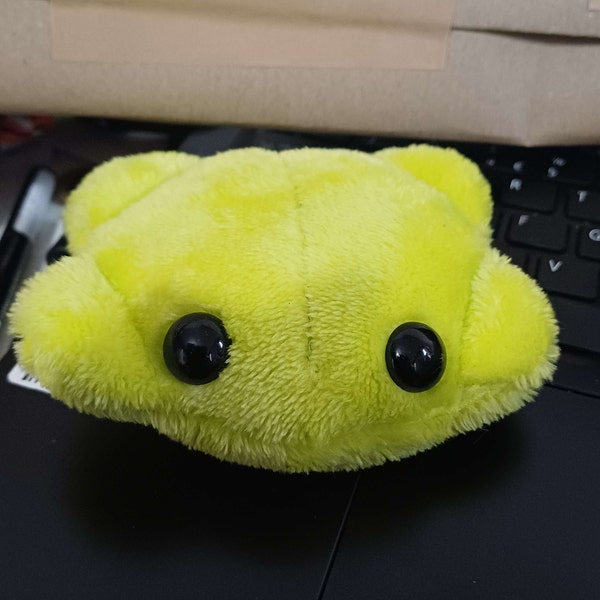 I'm Chonky Frog Sticker/meme Frog/cute Frog Sticker/froggy Sticker/cute ...