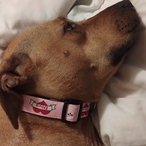 1 Autism Awareness Collar - Etsy