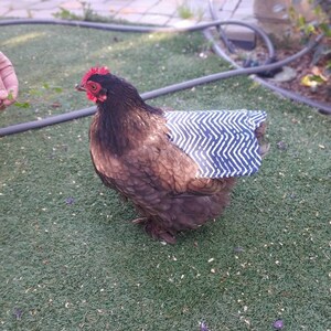 Hen Saddle Chicken Apron Tail Guard AND Now Added Wing Guard - Etsy